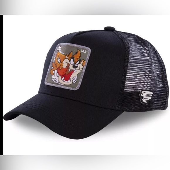Accessories | Taz Hat New Trucker Hat Adjustable Looney Tunes Baseball ...